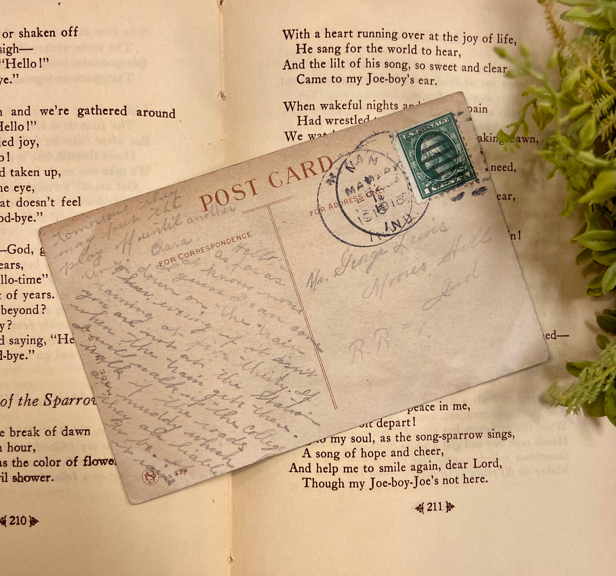 Antique 1915 Swedish Postcard – The Gentleman's Stache, DBA Mercantile 1858