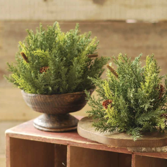 Prickly Pine Half Sphere – The Gentleman's Stache, DBA Mercantile 1858